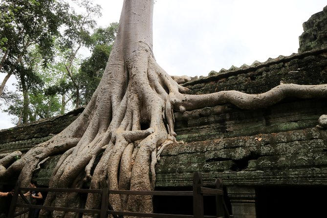 Angkor Temples Private Full-Day Tour from Siem Reap (Free Child) - The Sum Up