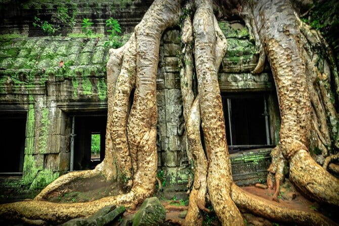 Angkor Wat 2 Days and a Half Temples & Tonle Sap-Small Group Tour - What Makes This Tour Stand Out