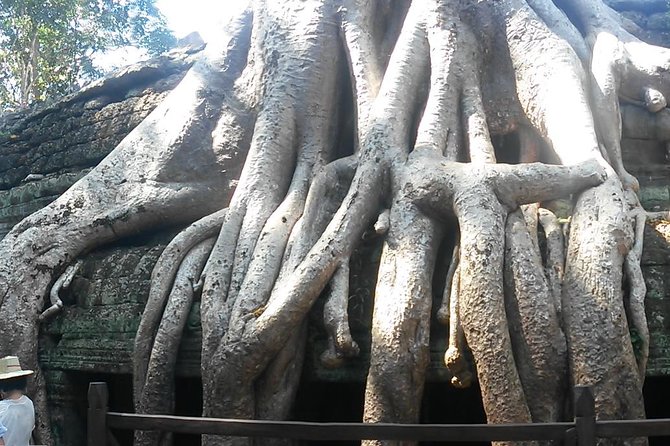 Angkor Wat 3-Day Tour from Bangkok - Value and Pricing: Is It Worth It?