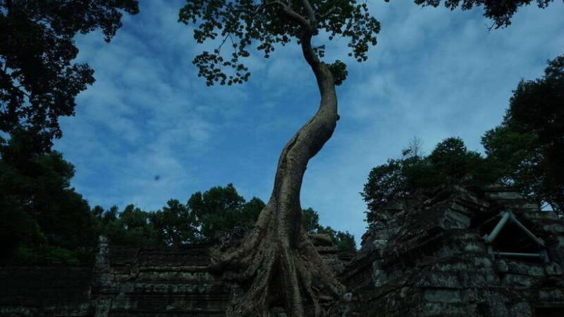 Angkor Wat: 3-Days Private Angkor Wat tour for Family - Who Is This Tour Best Suited For?