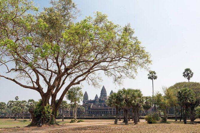 Angkor Wat, Angkor Thom & Elephant Terrace Half-Day Tours - Who Will Enjoy This Tour?