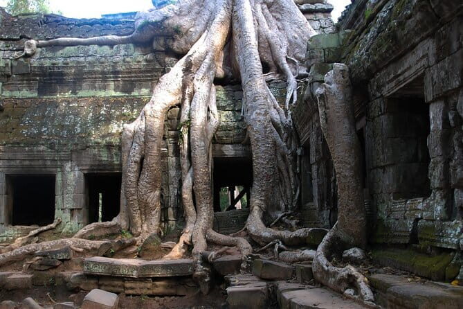 Angkor Wat Big Circuit Digital Audio Guide - The Experience: What You Can Expect