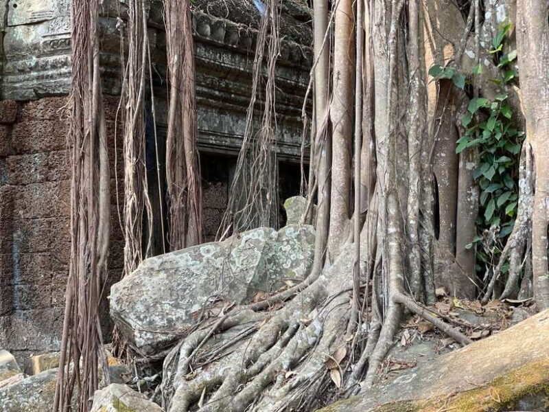 Angkor Wat Full Day Tour in Siem Reap Small-Group - Who Would Benefit Most from This Tour?