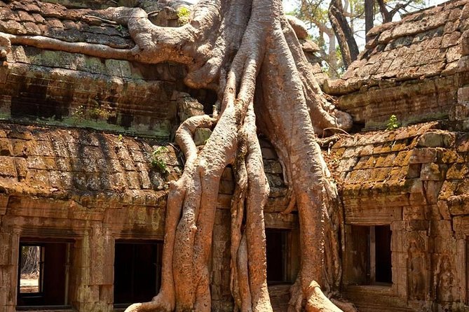 Angkor Wat Private Day Tour - Frequently Asked Questions