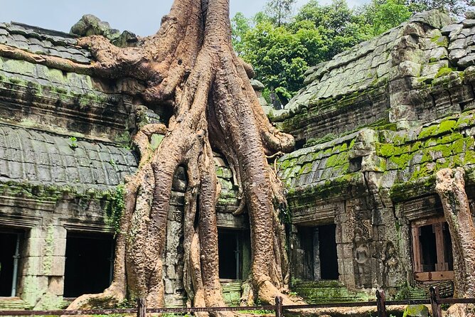 Angkor Wat Sunrise and Angkor Thom Sunset Tour - The Overall Value