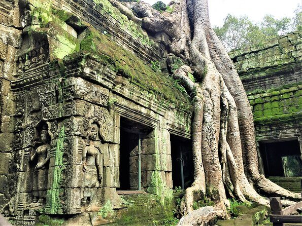 Angkor Wat sunrise Bayon Ta Prohm by Shared Tour. - Exploring Angkor Thom and Bayon
