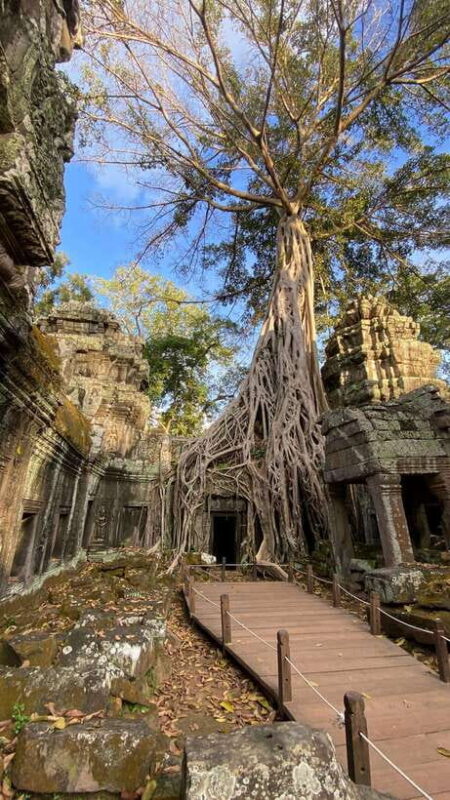 Angkor Wat Sunrise Offbeat Experience by Jeep - Who Will Enjoy This Tour?