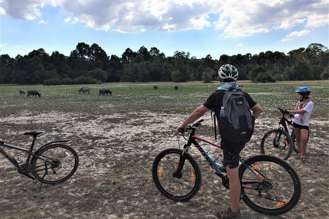 Angkor Wat Sunrise VIP Bike Private Tour - Who Should Consider This Tour?