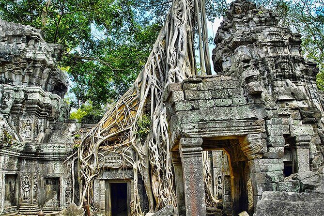 Angkor Wat Temples & Kulen Elephant Forest Day Tour - The Sum Up