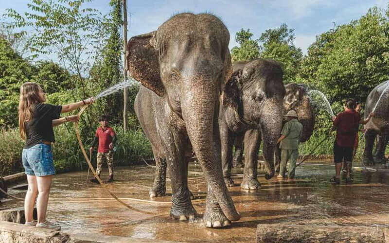 Angkor Wat Temples & Kulen Elephant Forest Day Tour - FAQs