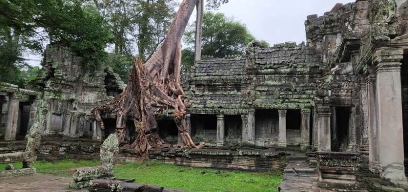 Angkor Wat Temples Tour by Car with Optional Sunrise - Key Points