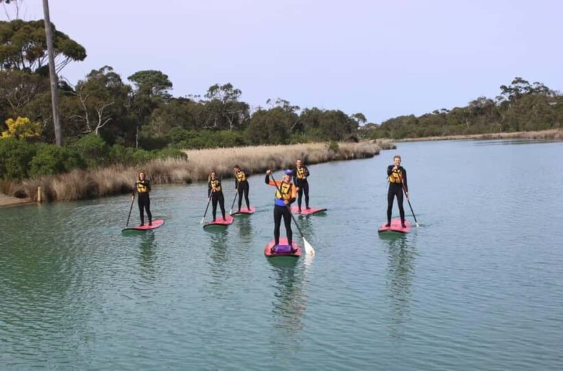 Anglesea: Stand-Up Paddleboard Lesson on the River - Key Points