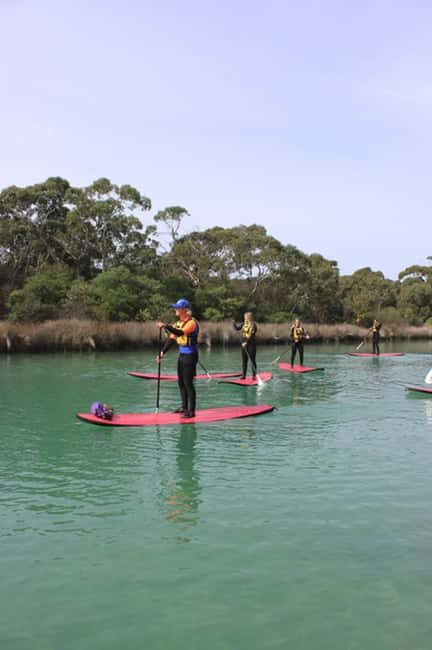 Anglesea: Stand-Up Paddleboard Lesson on the River - An In-Depth Look at the Experience