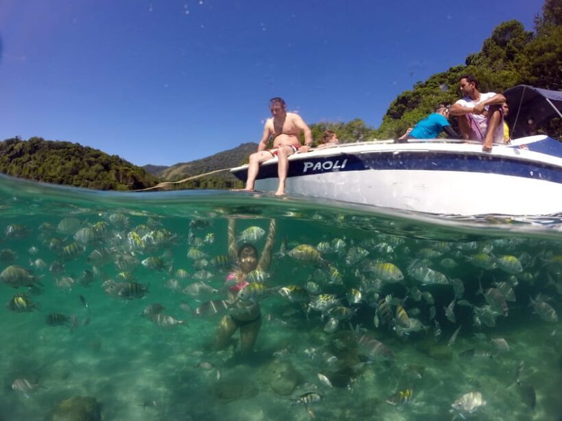 Angra dos Reis and Ilha Grande: Small-Group Fast-Boat Tour - Introduction