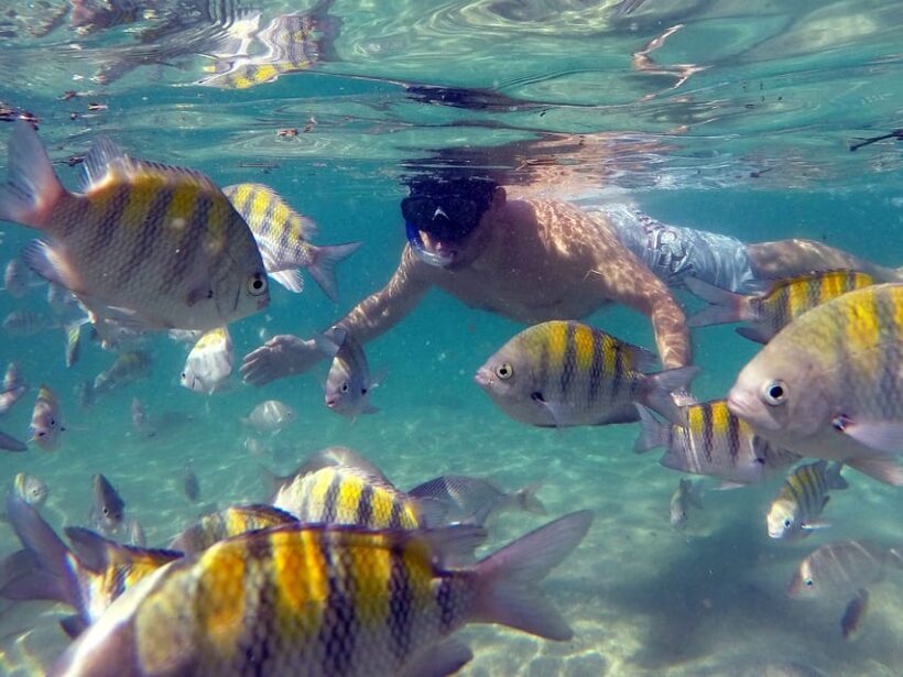 Angra dos Reis and Ilha Grande: Small-Group Fast-Boat Tour - Is It Worth the Price?
