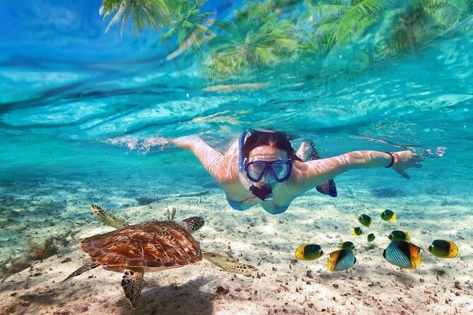 Angthong National Marine Park by Highsea Tour Official - The Sum Up