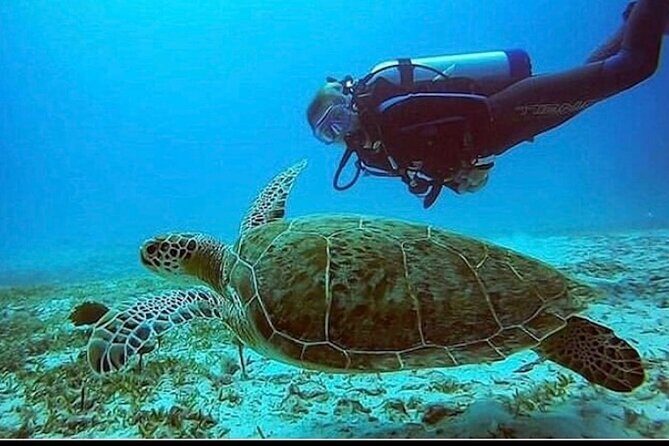 Anguilla Based: PADI Discover Scuba (Introductory Dive) - Key Points