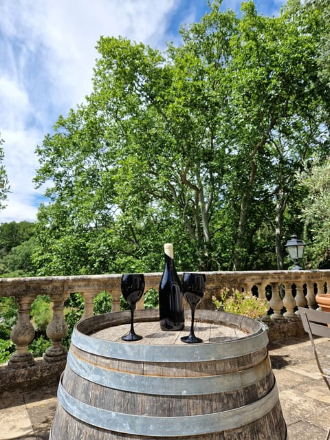 Aniane: Discover the Art of Blind Tasting at Château Capion - Who Is This Tour Best For?