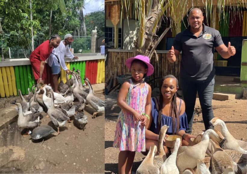 Animal & Bird Farm with Private Transport - Key Points