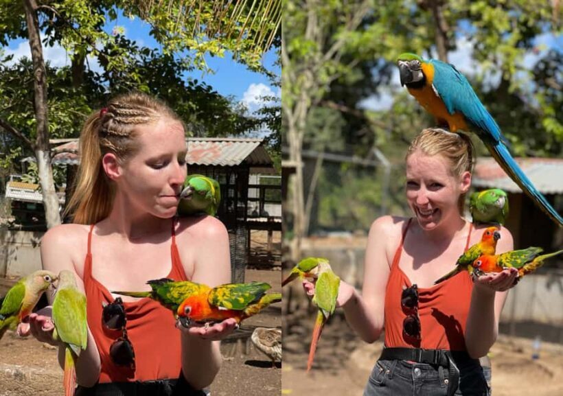 Animal & Bird Farm with Private Transport - What to Expect from the Animal & Bird Farm Tour