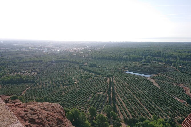 Animal farm park with free hotel pickup - Key Points