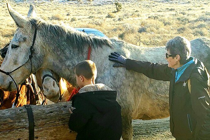 Animal Petting and Sunset Hike in Las Vegas - Authentic Encounters and Hidden Challenges