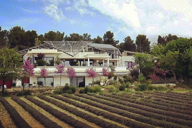 Animation Oenologique "De la Vigne au Vin" - What to Expect from the Tour