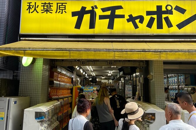 Anime, Manga, Game & Maid Cafe Tour in Akihabara - Accessibility and Inclusion