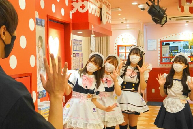 Anime Shopping Tour in Osaka: Figures, Manga, Maid Cafe, Knife - Accessibility and Health Information