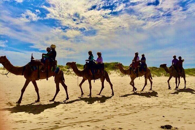 Anna Bay and Nelson Bay NSW tours like Dubai safari experience - Key Points