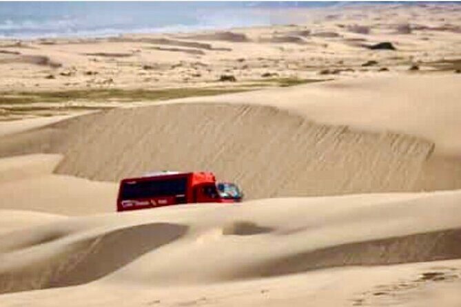 Anna Bay and Nelson Bay NSW tours like Dubai safari experience - Exploring Anna Bay: Where the Desert Meets the Sea