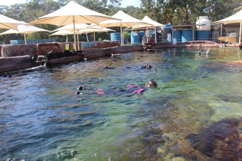 Anna Bay: Irukandji Entry + Coastal Currents Snorkel - An Honest Look at the Experience