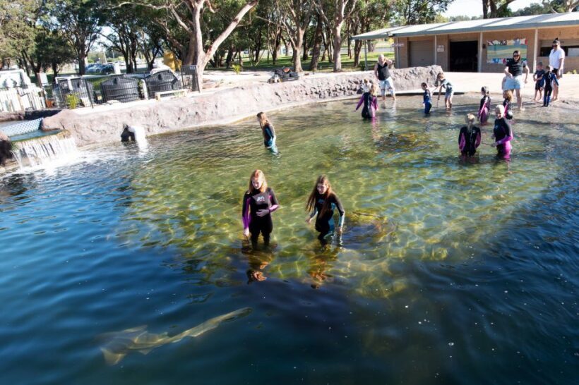 Anna Bay: Irukandji Entry Pass with Shallows Encounter - Key Points