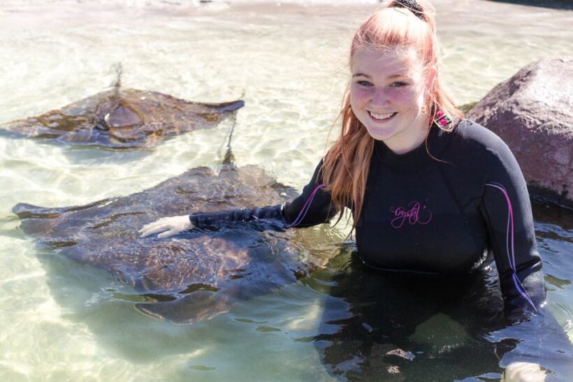 Anna Bay: Irukandji Entry Pass with Shallows Encounter - Exploring the Experience: What’s Included and What’s Not