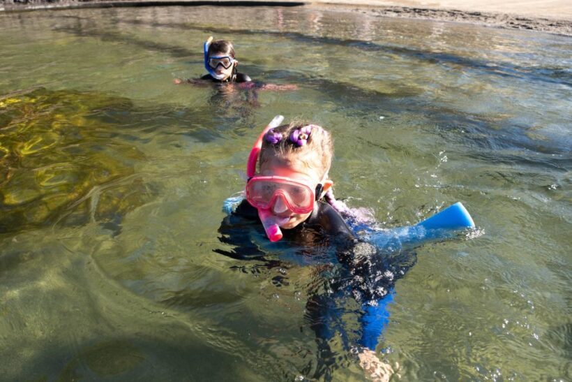 Anna Bay: Irukandji Entry with Zebra Shark Snorkel - What To Expect During Your Visit