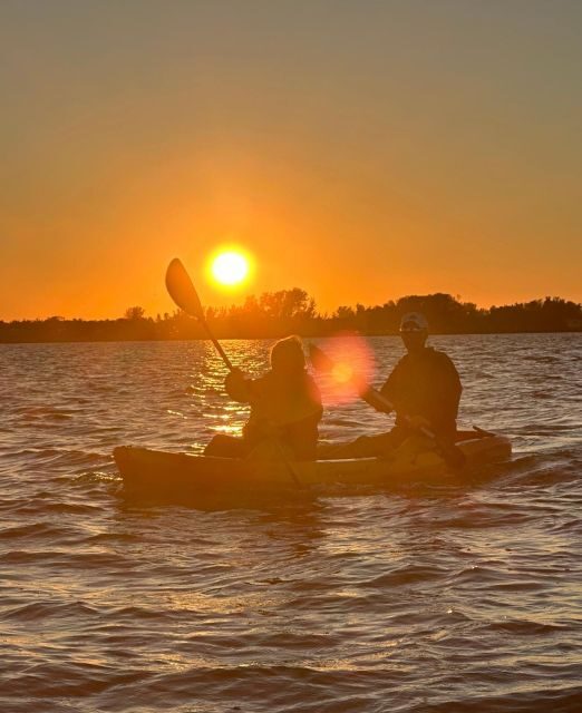Anna Maria Island and Bradenton: Sunset Kayak Dolphin Tour - Authentic Experiences from Past Participants