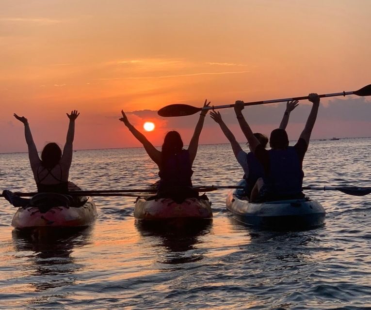 Anna Maria Island and Bradenton: Sunset Kayak Dolphin Tour - FAQs