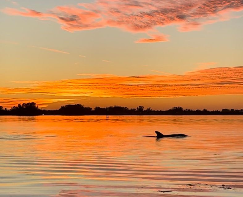 Anna Maria Island and Bradenton: Sunset Kayak Dolphin Tour - Practical Details: Value and Logistics