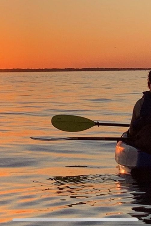 Anna Maria Island and Bradenton: Sunset Kayak Dolphin Tour - Reviews: Authentic Voices
