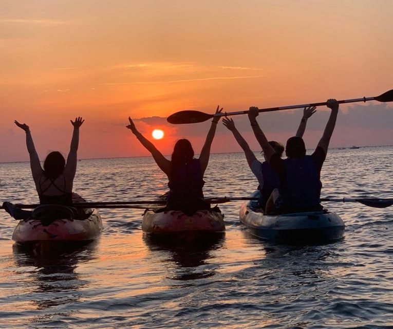 Anna Maria Island and Bradenton: Sunset Kayak Dolphin Tour - The Bottom Line: Who Is This Tour Perfect For?