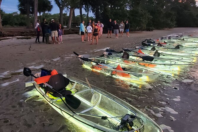 Anna Maria Island - Clear Kayak LED Night Glass Bottom Tour - Detailed Breakdown of the Experience