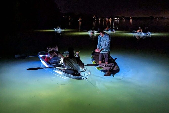 Anna Maria Island - Clear Kayak LED Night Glass Bottom Tour - Final Thoughts: Why This Tour Is Worth Considering