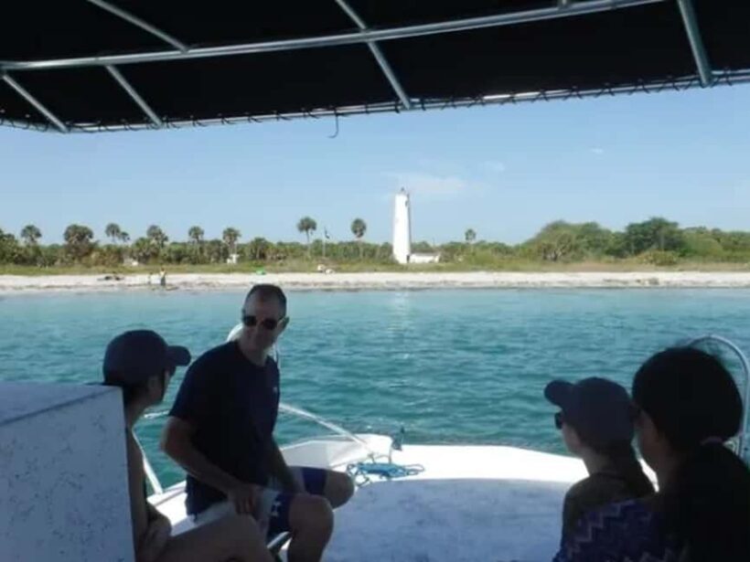 Anna Maria Island: Dolphin Cruise - Final Thoughts