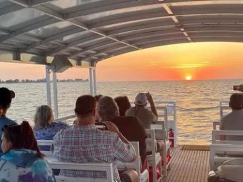 Anna Maria Island: Sunset Dolphin Cruise - An Introduction to the Experience