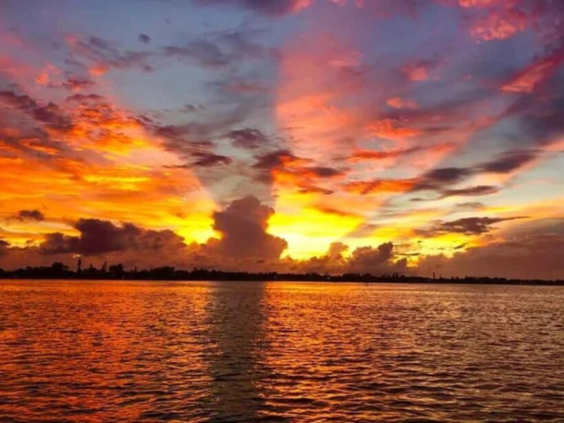 Anna Maria Island: Sunset Dolphin Cruise - The Practical Side: Price, Duration, and Booking