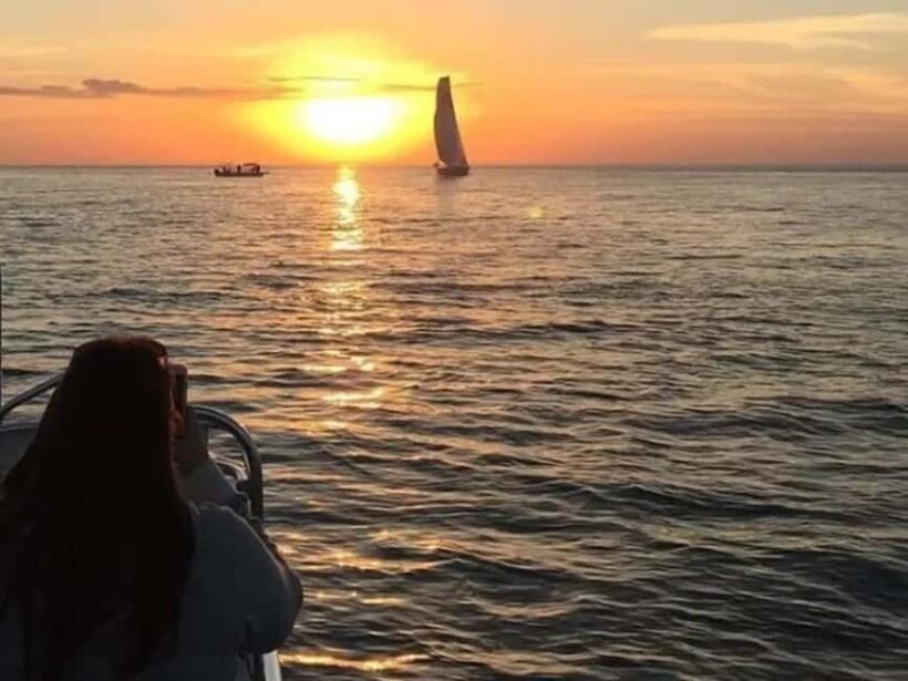 Anna Maria Island: Sunset Dolphin Cruise - Who Will Love This Tour?