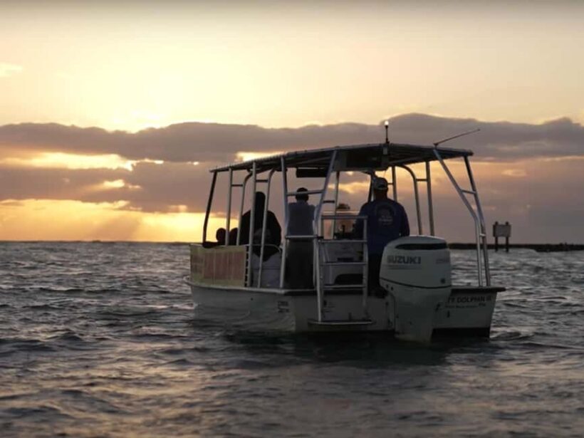 Anna Maria Island: Sunset Dolphin Cruise - The Sum Up: Is This Tour Worth It?