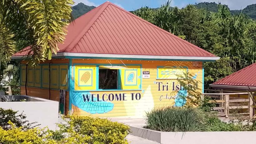 Annandale waterfall & Forest Park - Introduction: Why This Tour Might Be Your Perfect Escape