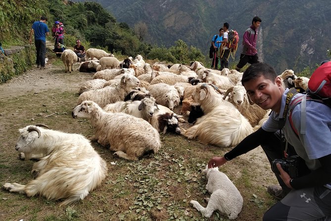 Annapurna: 2 Days 1 Night Poon Hill Trekking - What’s Included and What’s Not?