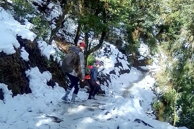 Annapurna: 5 Days Poon Hill Circuit Trek from Pokhara - Key Points